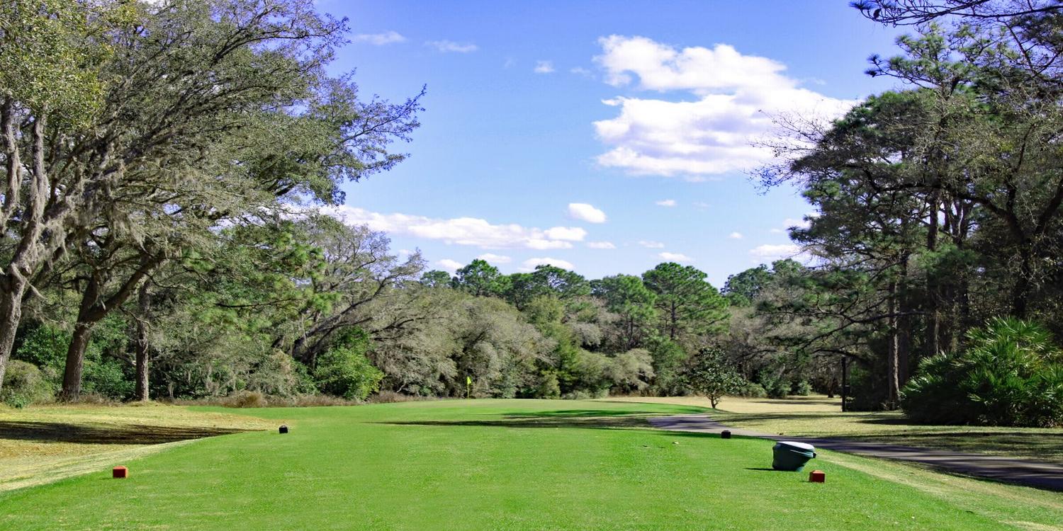 Pine Ridge Golf Club By David Theoret